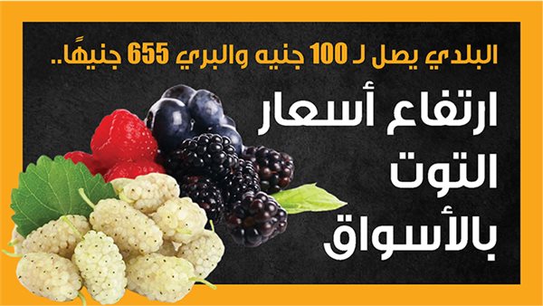 البلدي يصل لـ 100 جنيه والبري 655 جنيهًا.. ارتفاع أسعار التوت بالأسواق ...
